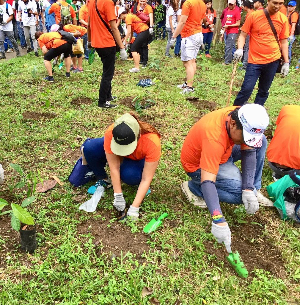 Liquigaz plants more trees - Liquigaz Philippines CorporationLiquigaz ...